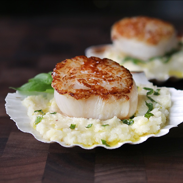 Sautéed Scallops with Celery Root Purée & Herb Oil - She Paused 4 Thought